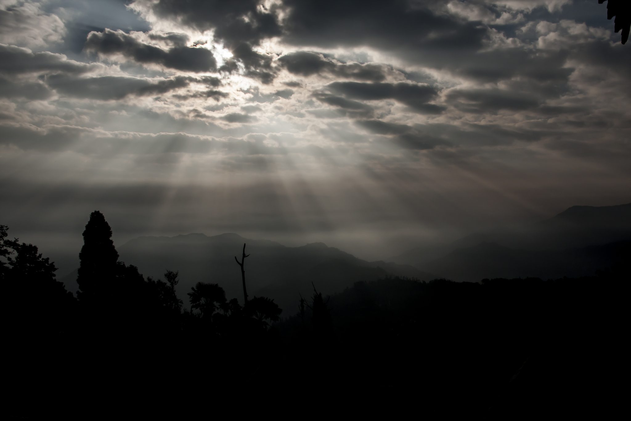 A poem about relapse – The Manic Medic